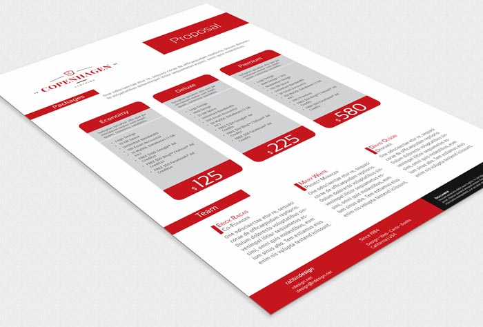 InDesign Proposal Template StockInDesign