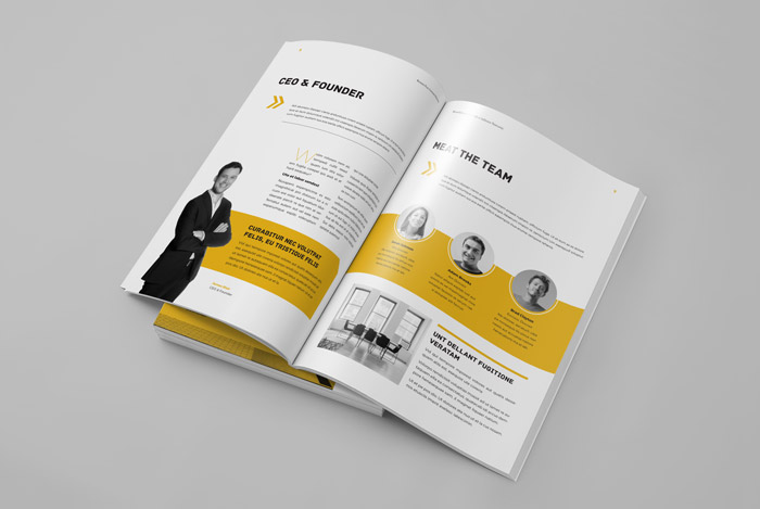 Business Plan Template Adobe InDesign Template