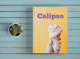 Book Template: Calipso – StockInDesign